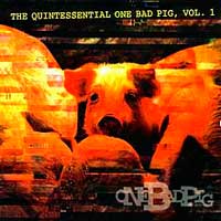 No Life Til Metal - CD Gallery - One Bad Pig